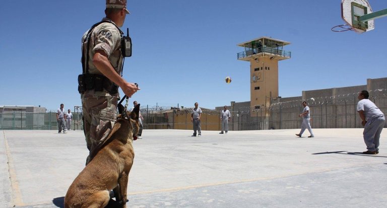 K9 Dog Training: How to Train Your Dog Like a Police Dog?