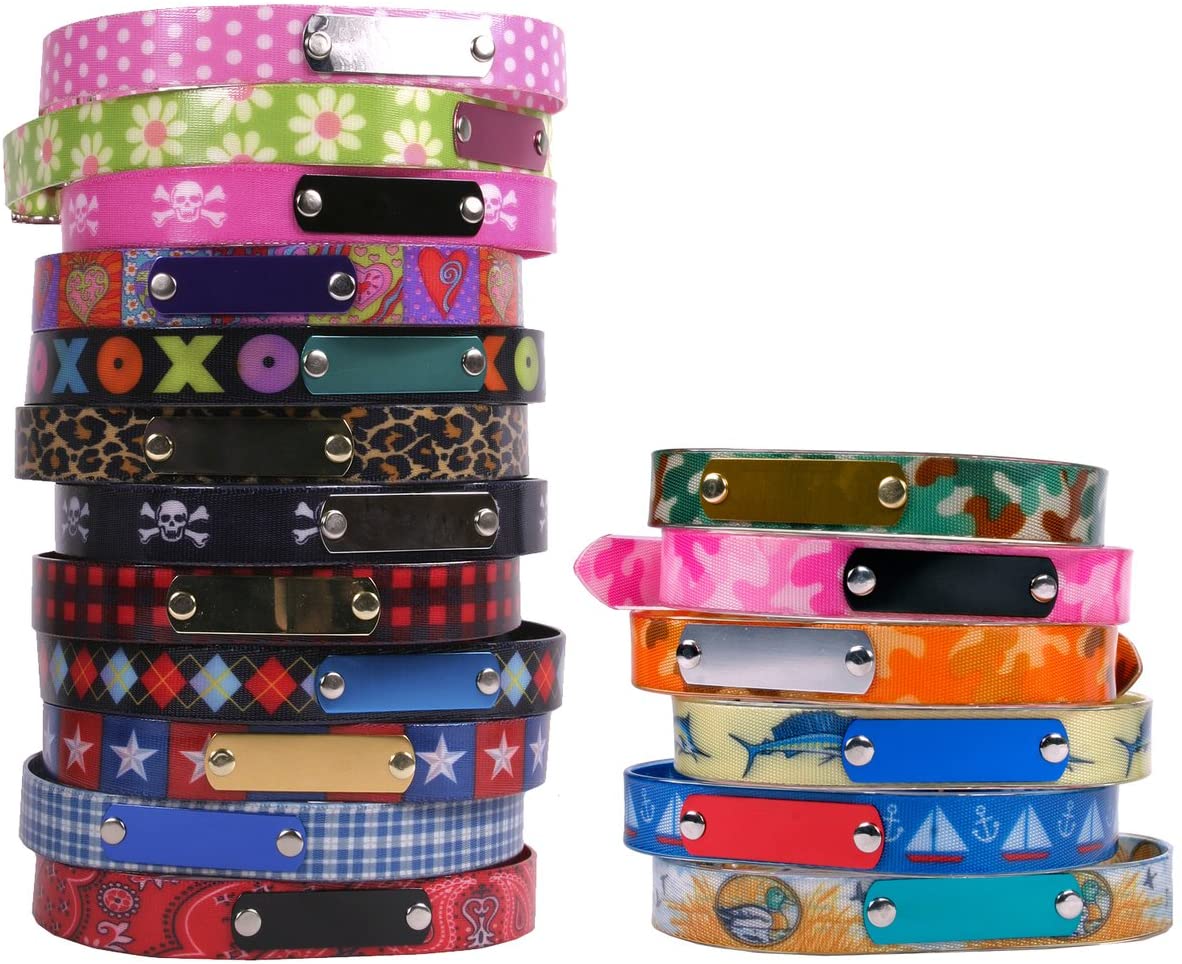 9 Different Types of Dog Collars (Most Popular Collar Types)