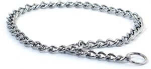 How to Use a Choke Collar Chain on a Dog? Beginner's Guide