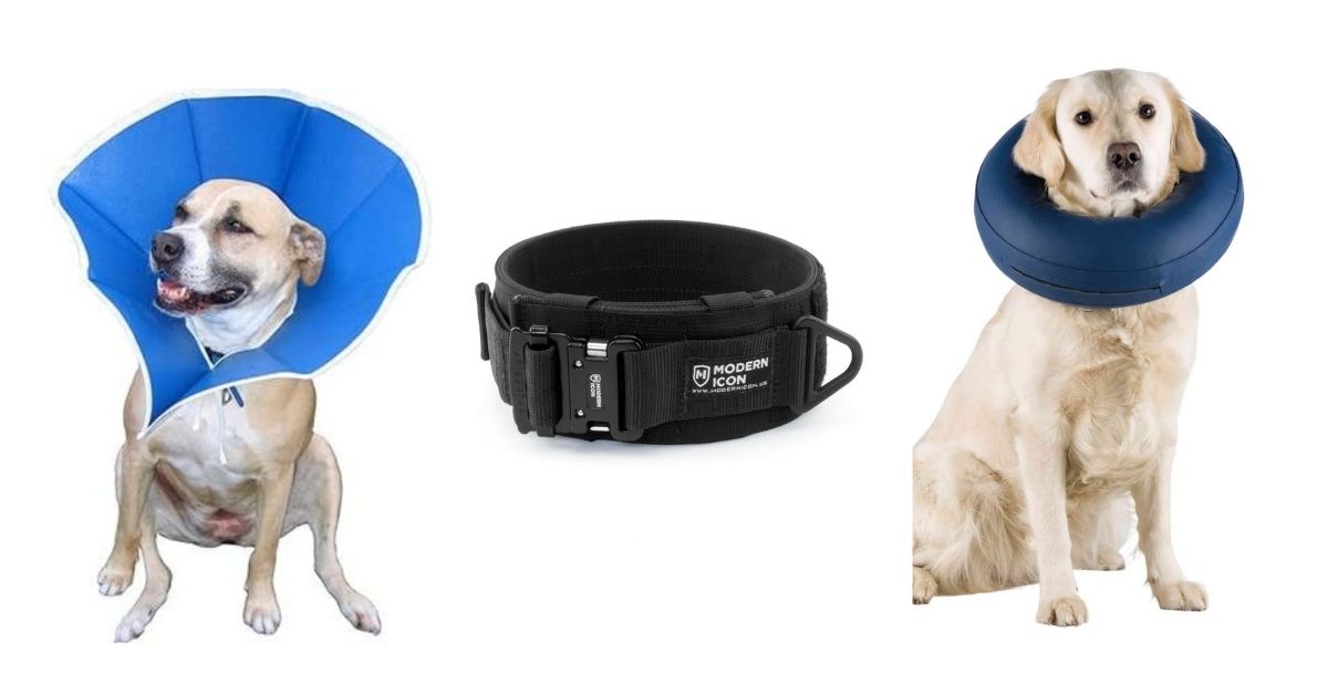 How Long to Keep E-Collar on Dog After Spaying or Neutering?