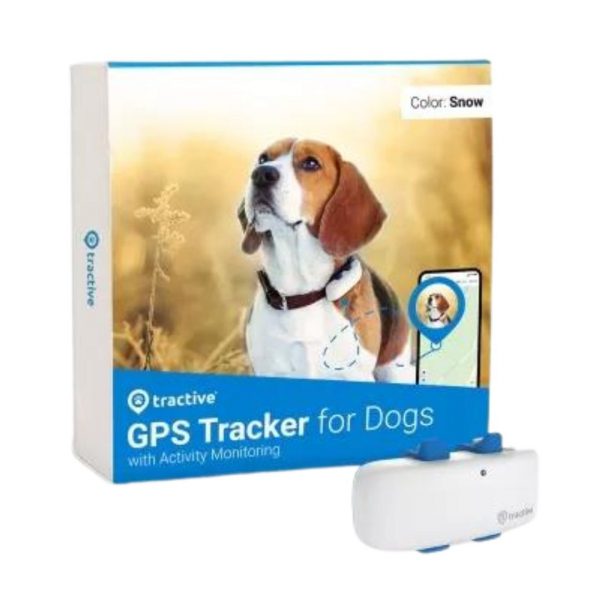 6 Best Wireless Fences for Small Dog Breeds [2026 Updated]