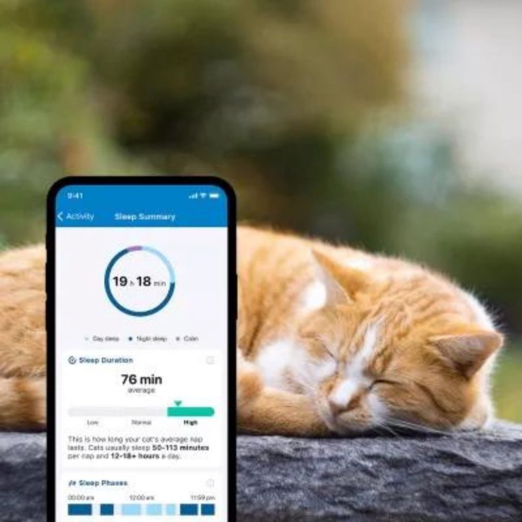 Tractive GPS Cat Tracker Review [2026 Upd.] Is it Any Good?