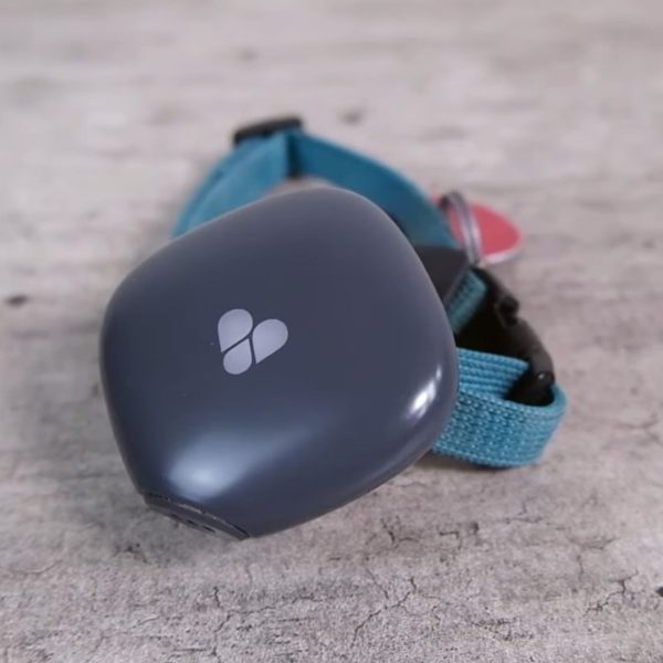 Findster Duo+ Review [2026 Upd.] Is This Discontinued???
