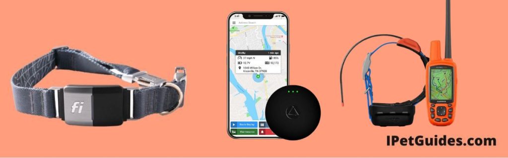 10 Best Dog GPS Trackers & Pet Tracking Devices [2025 Upd.]