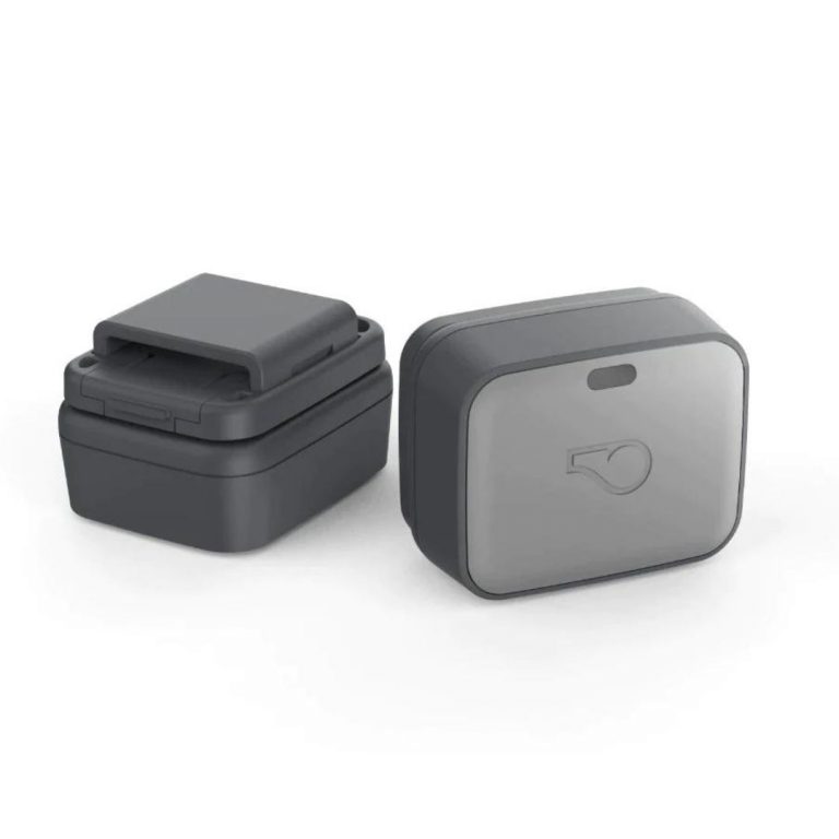 7 Best GPS Trackers for Small Dog Breeds [Reviewed in 2024]