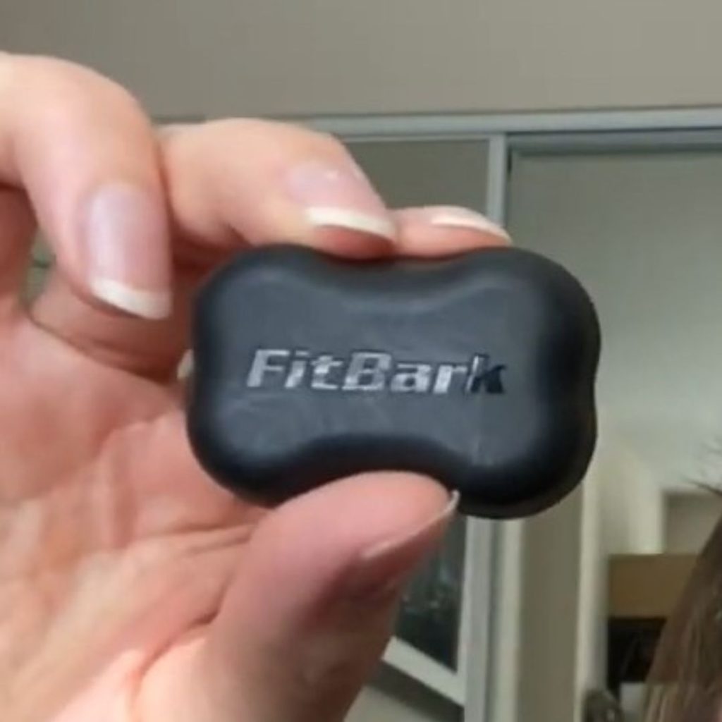 Fitbark 2 Review [2026 Upd.] Sharing My Personal Experience