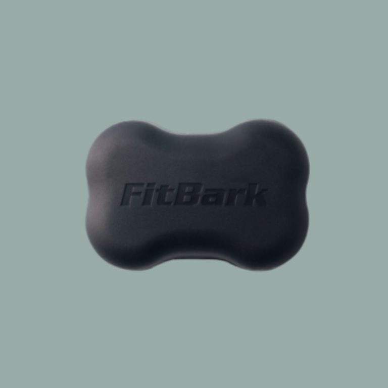 Fitbark 2 Review [2024 Upd.] Sharing My Personal Experience