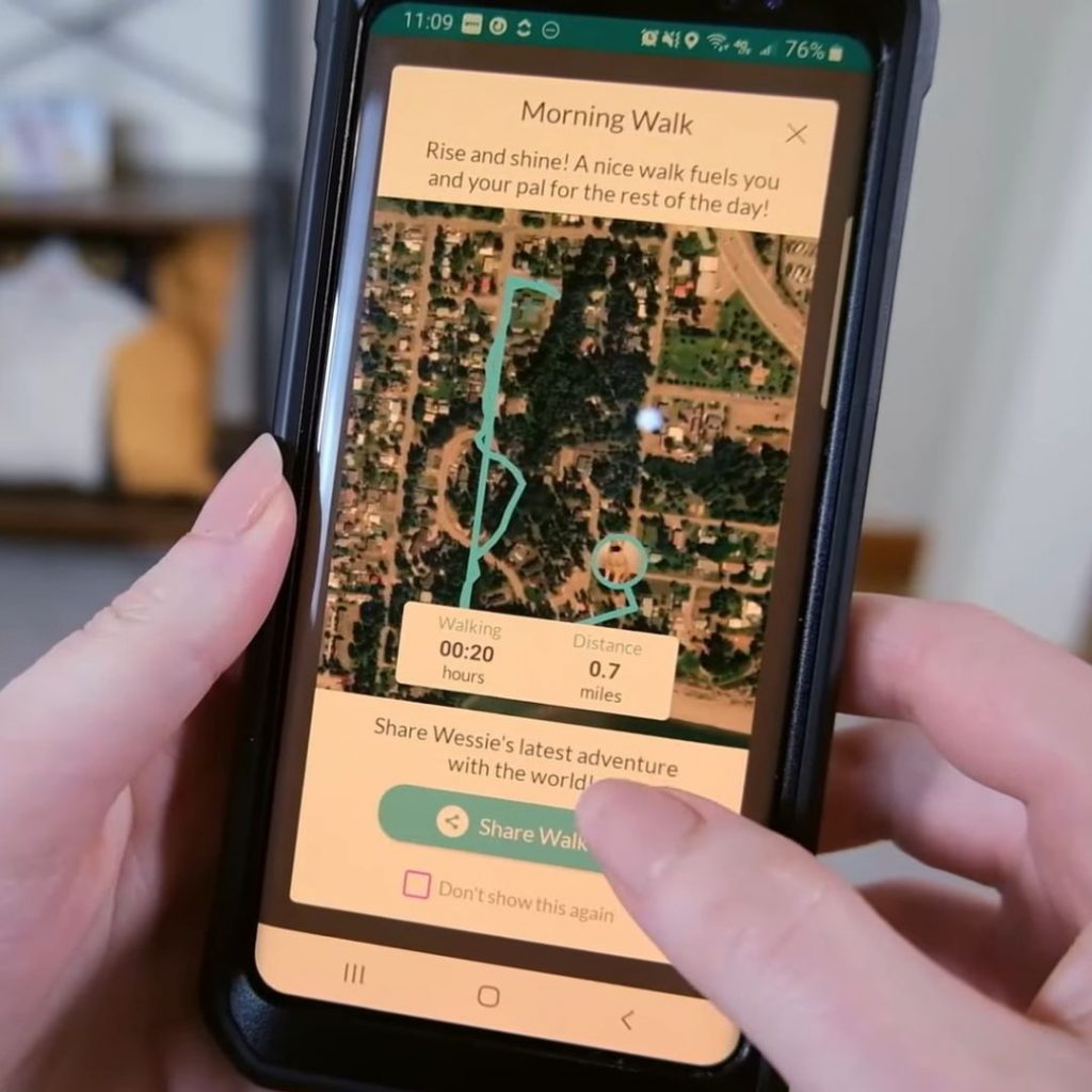 Findster Duo+ Review [2025 Upd.] Is This Discontinued???