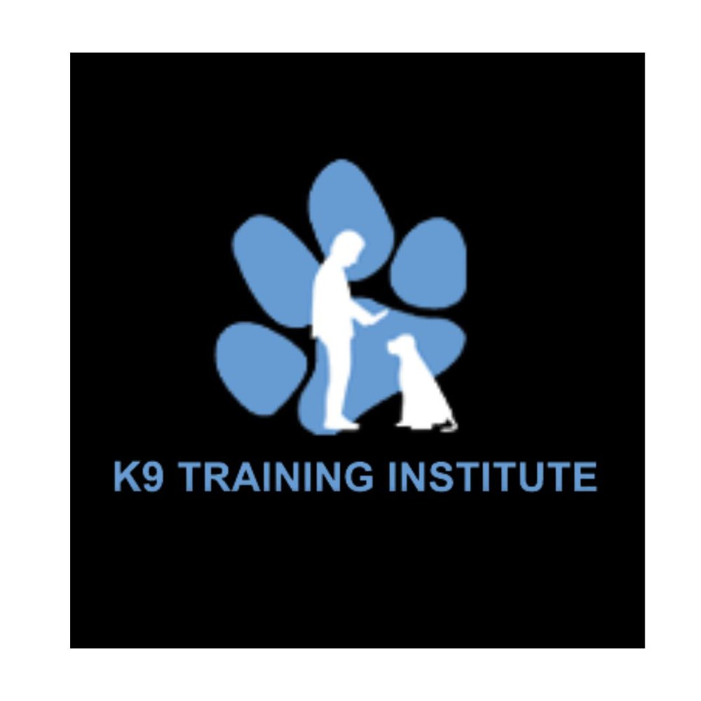 PetSmart Dog Training Reviews (2026) Not What I Expected!