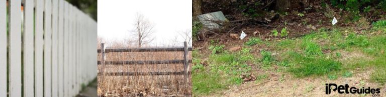 9 Different Types of Fences for Dogs (With Pros and Cons)