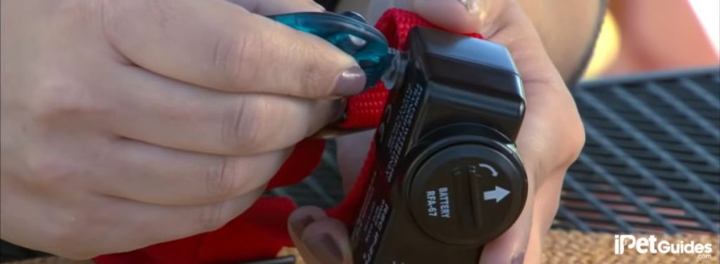 How to Troubleshoot an Invisible Fence? Step-By-Step Guide