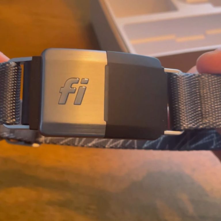Fi Smart Dog Collar Review [2025 Upd.] The #1 GPS Tracker?
