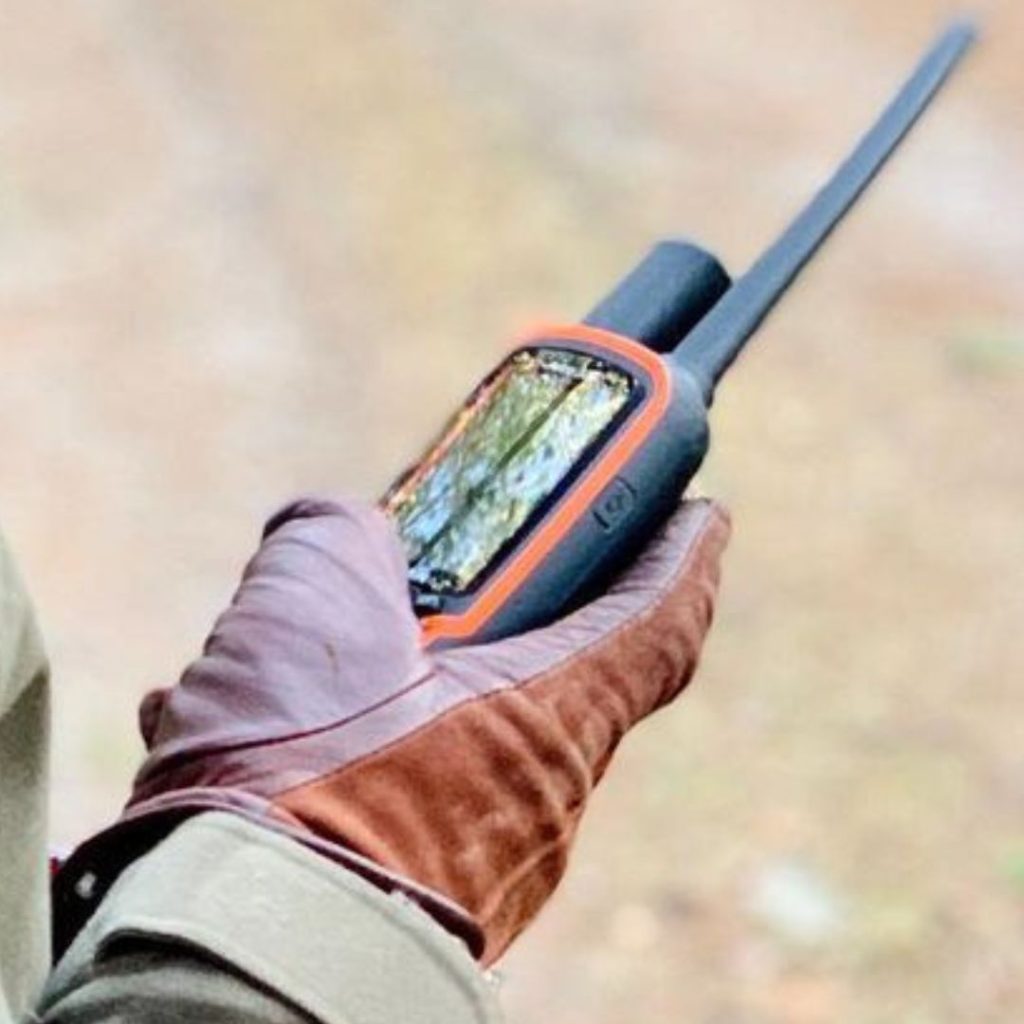 7 Best GPS Tracking Collars & Systems for Hunting Dogs