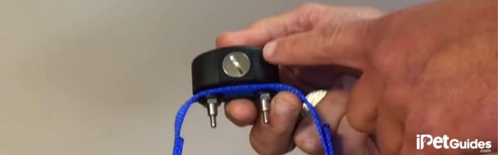 How to Test Invisible Fence Collar Battery Yourself?