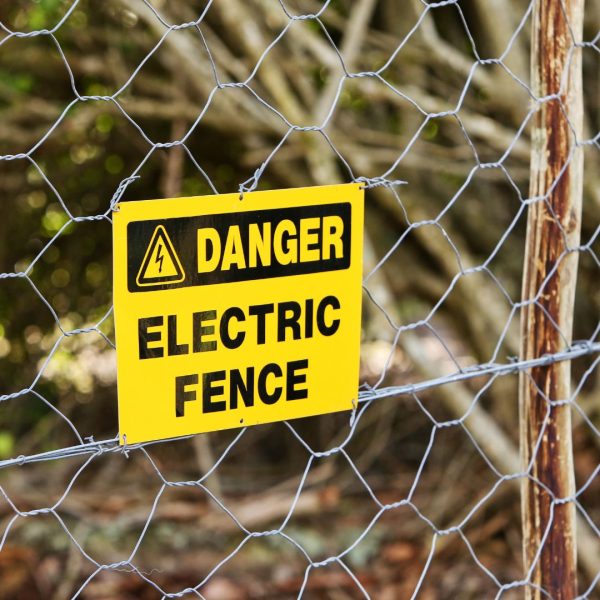 How to Choose the Right Dog Fence Wire? What to Look for?