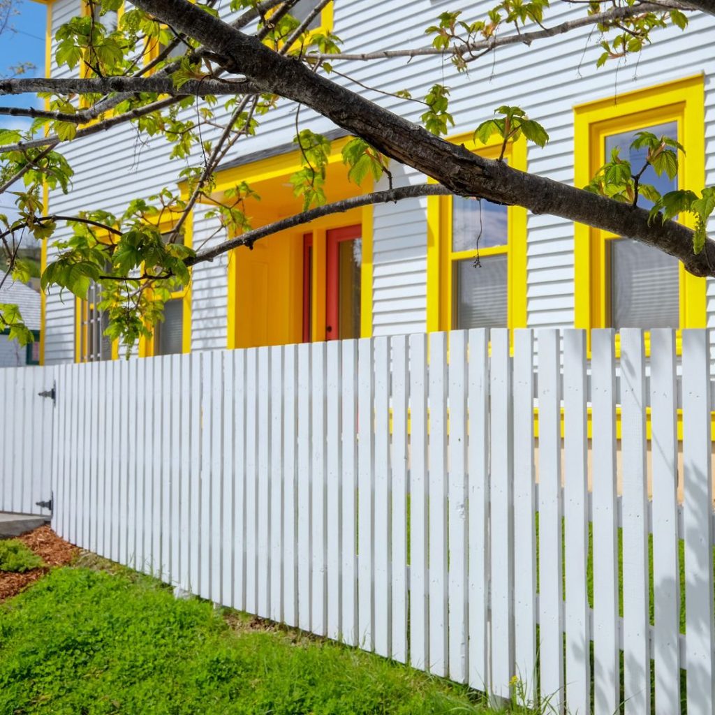 Cheap Fencing for Dogs: 12 Cheapest Ways to Fence a Yard