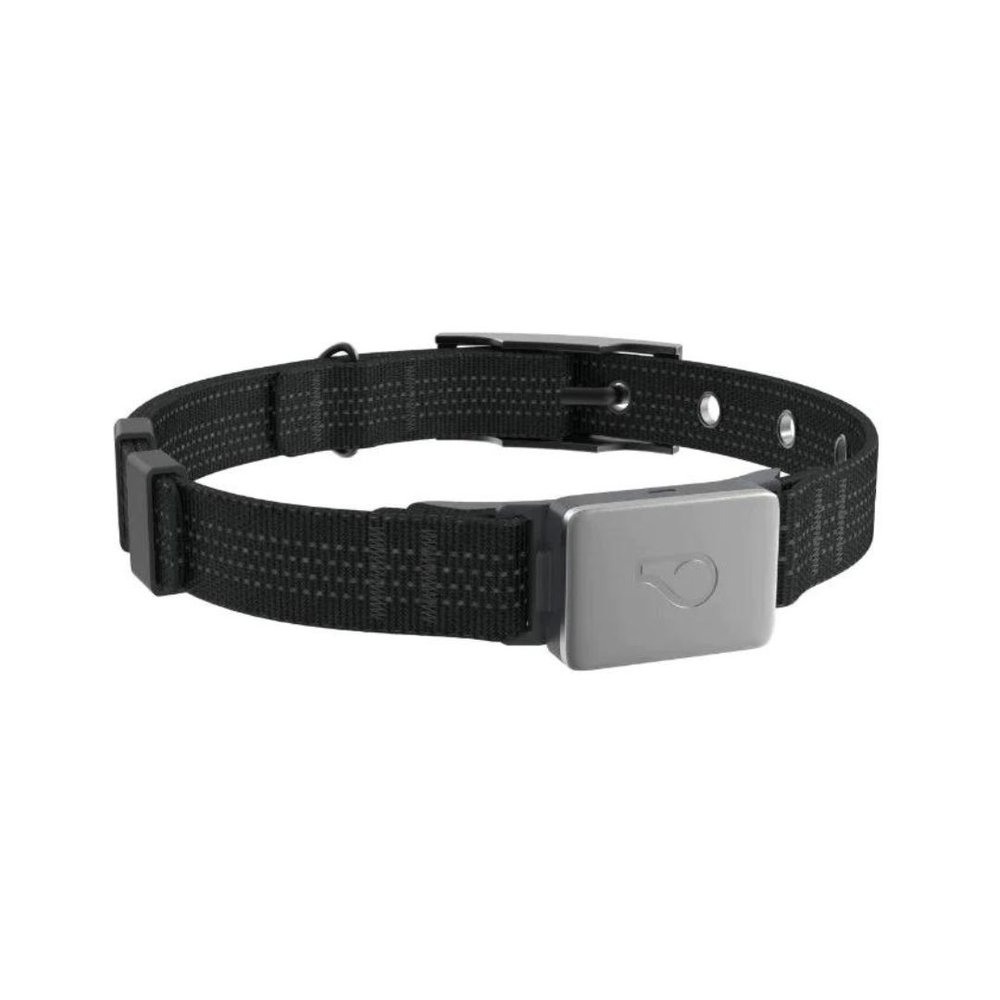 9 Best Dog Fitness & Activity Trackers [Tested in 2026]
