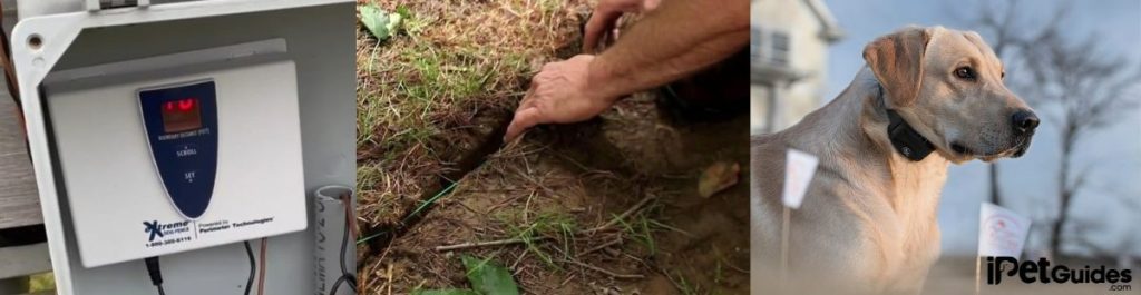 13 Best Wireless & Invisible Dog Fences [Updated in 2025]