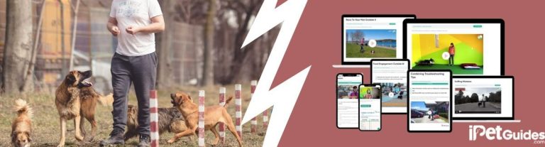 9 Best Online Dog Training Courses 2026 (That Actually Work)