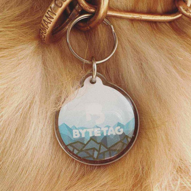 Bytetag Review [Updated in 2025] Is This Dog Tag Legit?