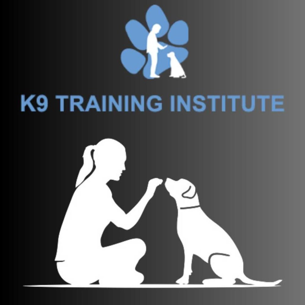 Fenrir Dog Training Reviews (2025) Is It Really Worth it?