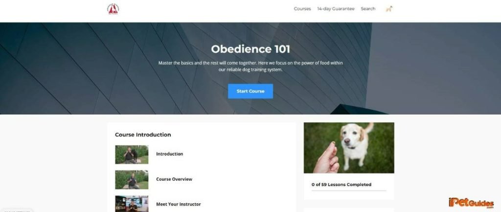 DIYK9 Course Review (2025) Is This Training Program Legit?