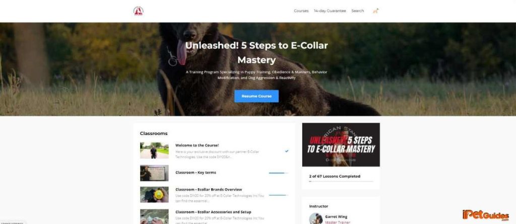 DIYK9 Course Review (2025) Is This Training Program Legit?