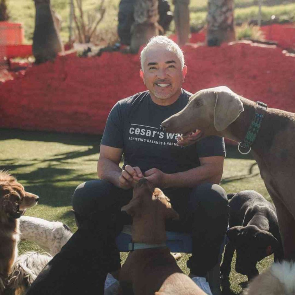 10 Famous & Best Dog Trainers in the World [Updated in 2026]
