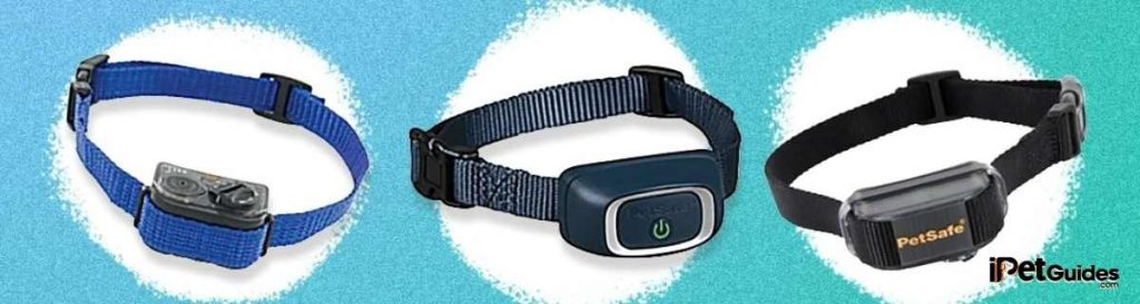 7 Best Bark Collars for Small Dog Breeds [Updated in 2025]