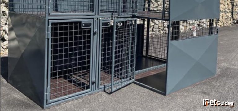 7 Best Heavy-Duty & Escape-Proof Dog Crates [2026 Reviewed]