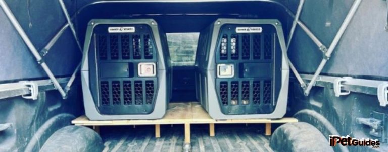 Gunner Kennel Review (2025 Upd.) Safest Dog Crate Explained