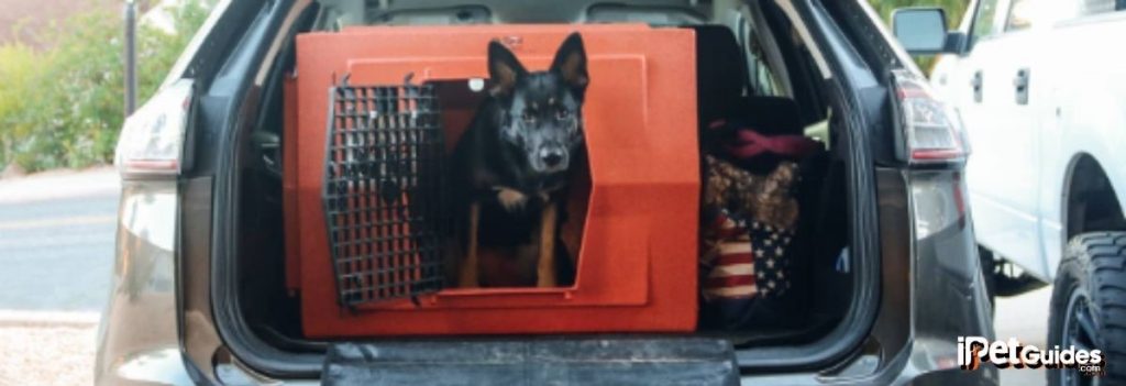 9 Best Dog Crates for Car Travel (Crash-Tested in 2025)