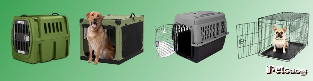 9 Best Dog Crates for Car Travel (Crash-Tested in 2026)