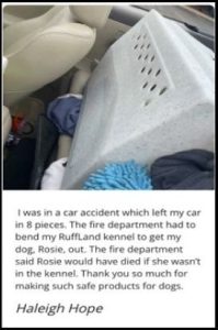 Ruff Land Kennel Review (2025 Upd.) Are These Crates Good?