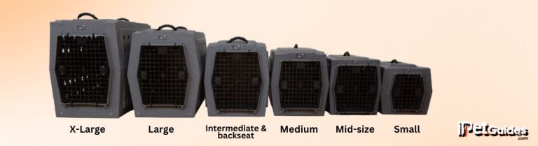 Ruff Land Kennel Review (2025 Upd.) Are These Crates Good?