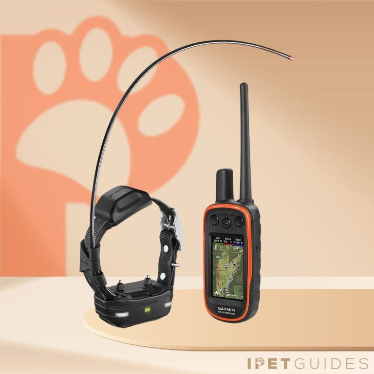 9 Best Garmin Dog Training & Tracking Collars [2026 Updated]