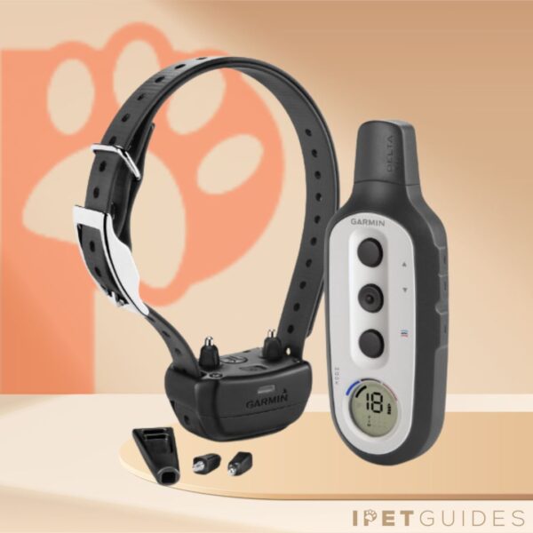 9 Best Garmin Dog Training & Tracking Collars [2026 Updated]