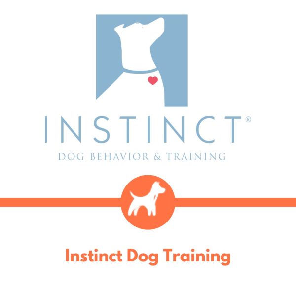 7 Best Dog Training in NYC, NY in 2026 (Online & In-Person)