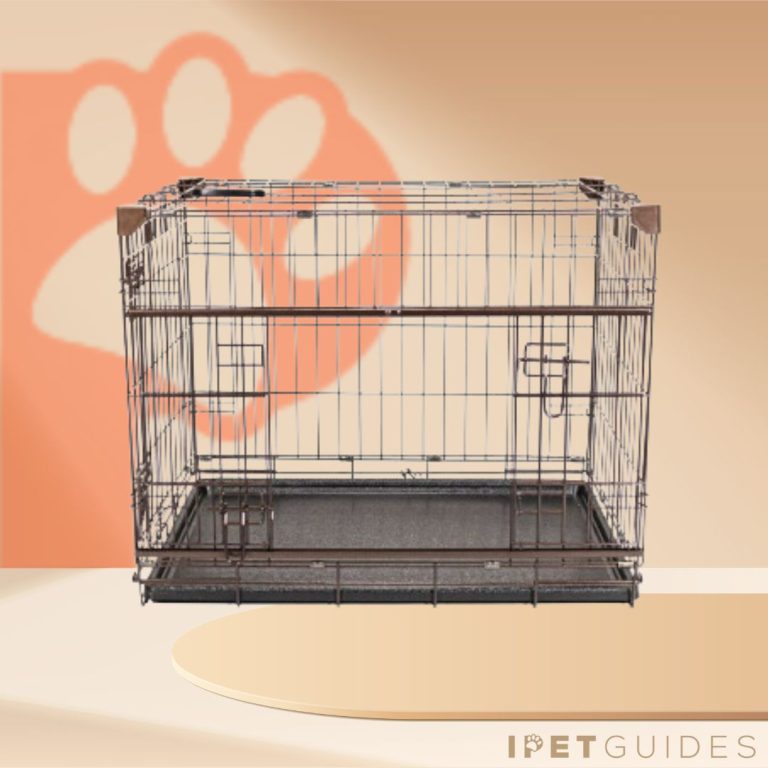 Dog Crate Sizes: Find the Right Size for Your Canine