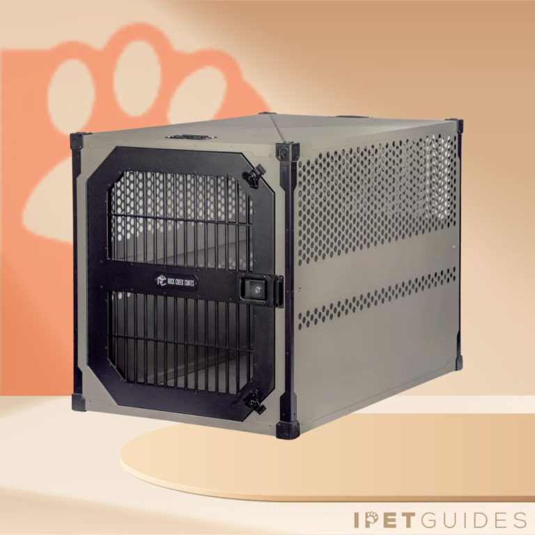 7 Best Heavy-Duty & Escape-Proof Dog Crates [2026 Reviewed]