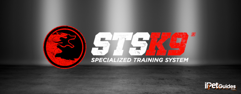 STSK9 Review: Don't Buy Before You Read This in 2026