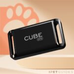 7 Best GPS Trackers for Small Dog Breeds [Reviewed in 2025]