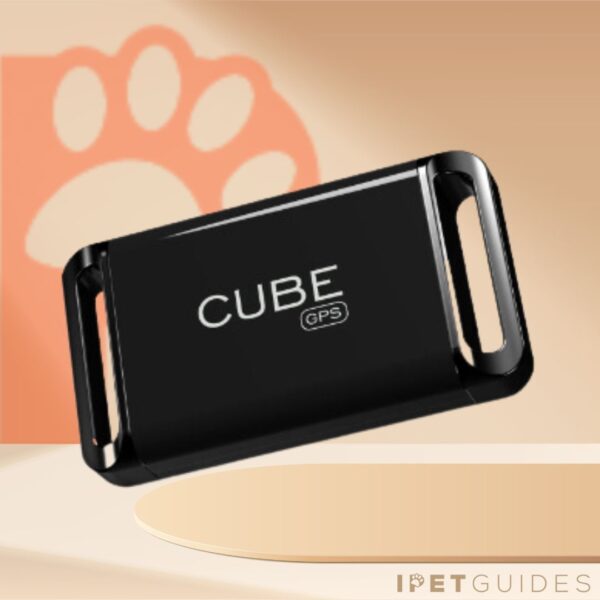 7 Best GPS Trackers for Small Dog Breeds [Reviewed in 2025]