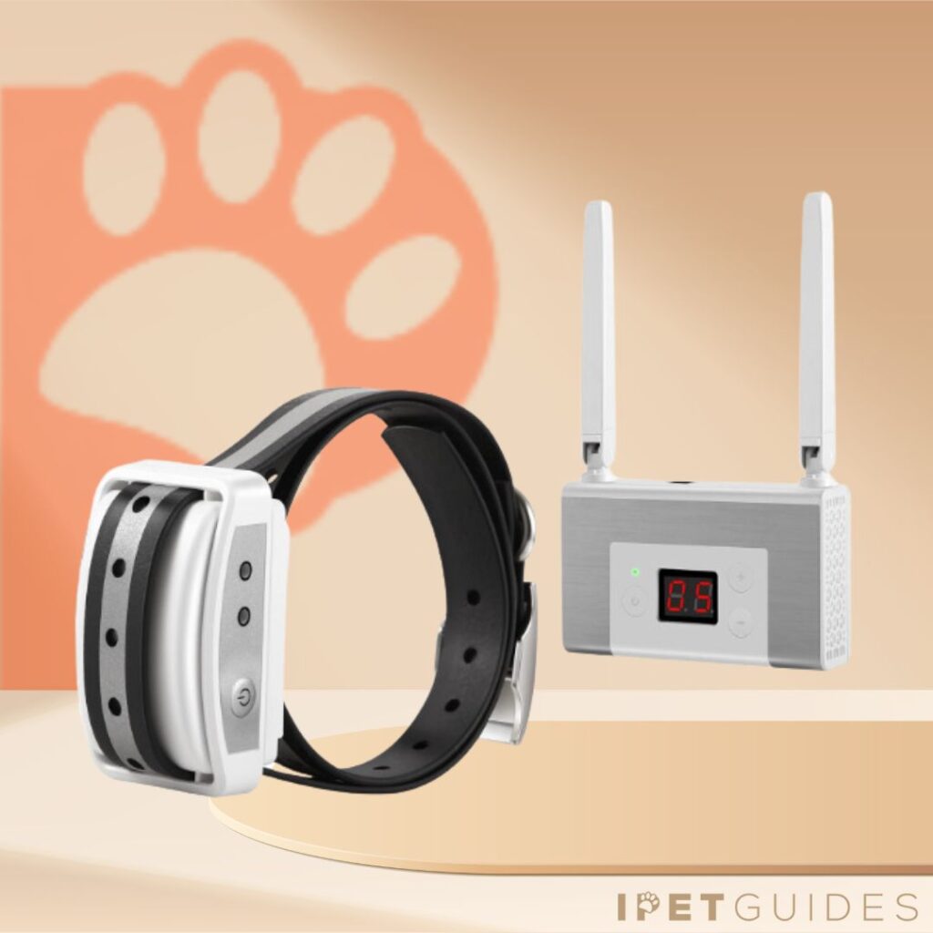 13 Best Wireless & Invisible Dog Fences [Updated in 2025]