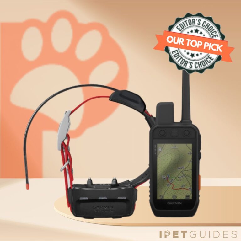 9 Best Garmin Dog Training & Tracking Collars [2026 Updated]