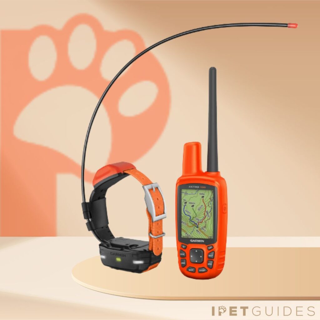 9 Best Garmin Dog Training & Tracking Collars [2026 Updated]