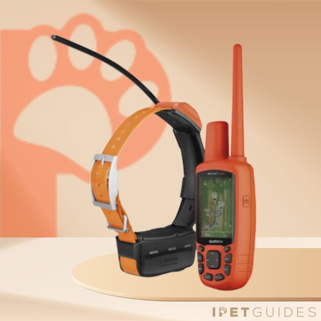 9 Best Garmin Dog Training & Tracking Collars [2025 Updated]