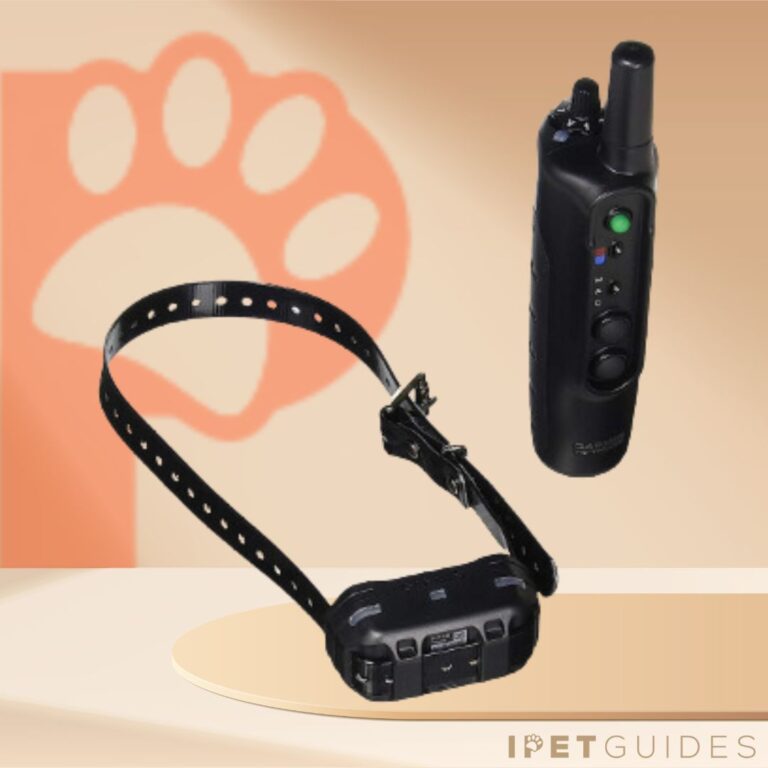9 Best Garmin Dog Training & Tracking Collars [2026 Updated]