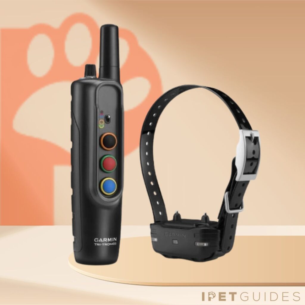 9 Best Garmin Dog Training & Tracking Collars [2026 Updated]