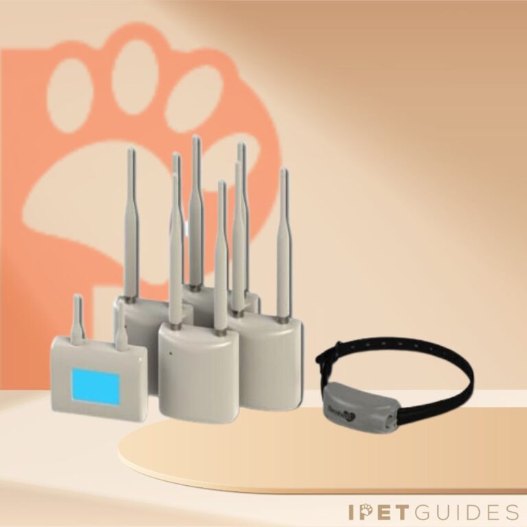 13 Best Wireless & Invisible Dog Fences [Updated in 2025]